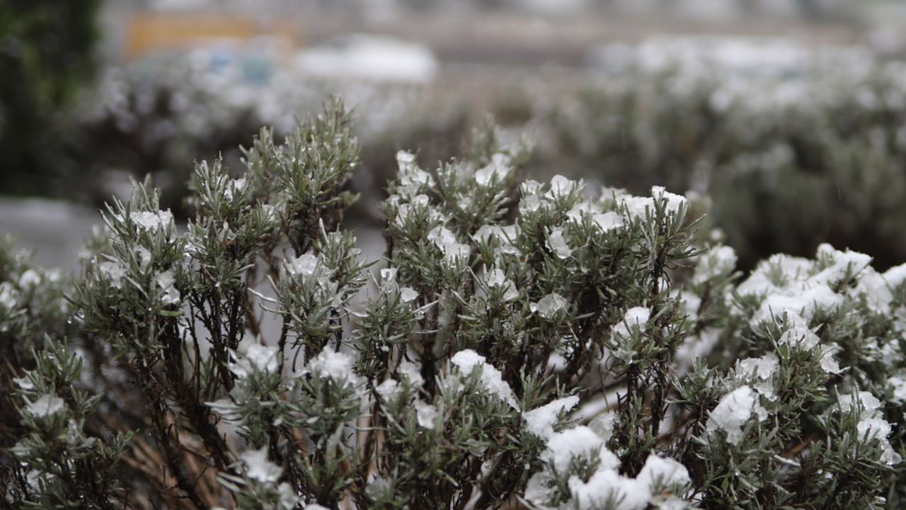 De le neige attendue à Lyon ce mercredi ? Le Rhône en vigilance jaune