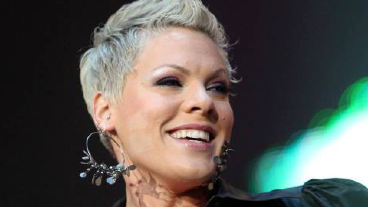 La chanteuse américaine Pink a été nommée lundi ambassadrice de l ...